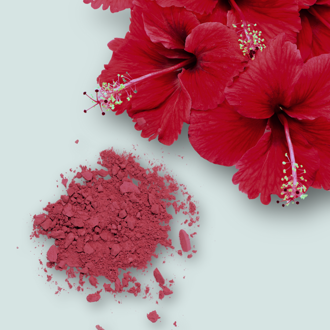 Freeze Dried Hibiscus (Jamaica) Flower - 100% Flower Powder ...