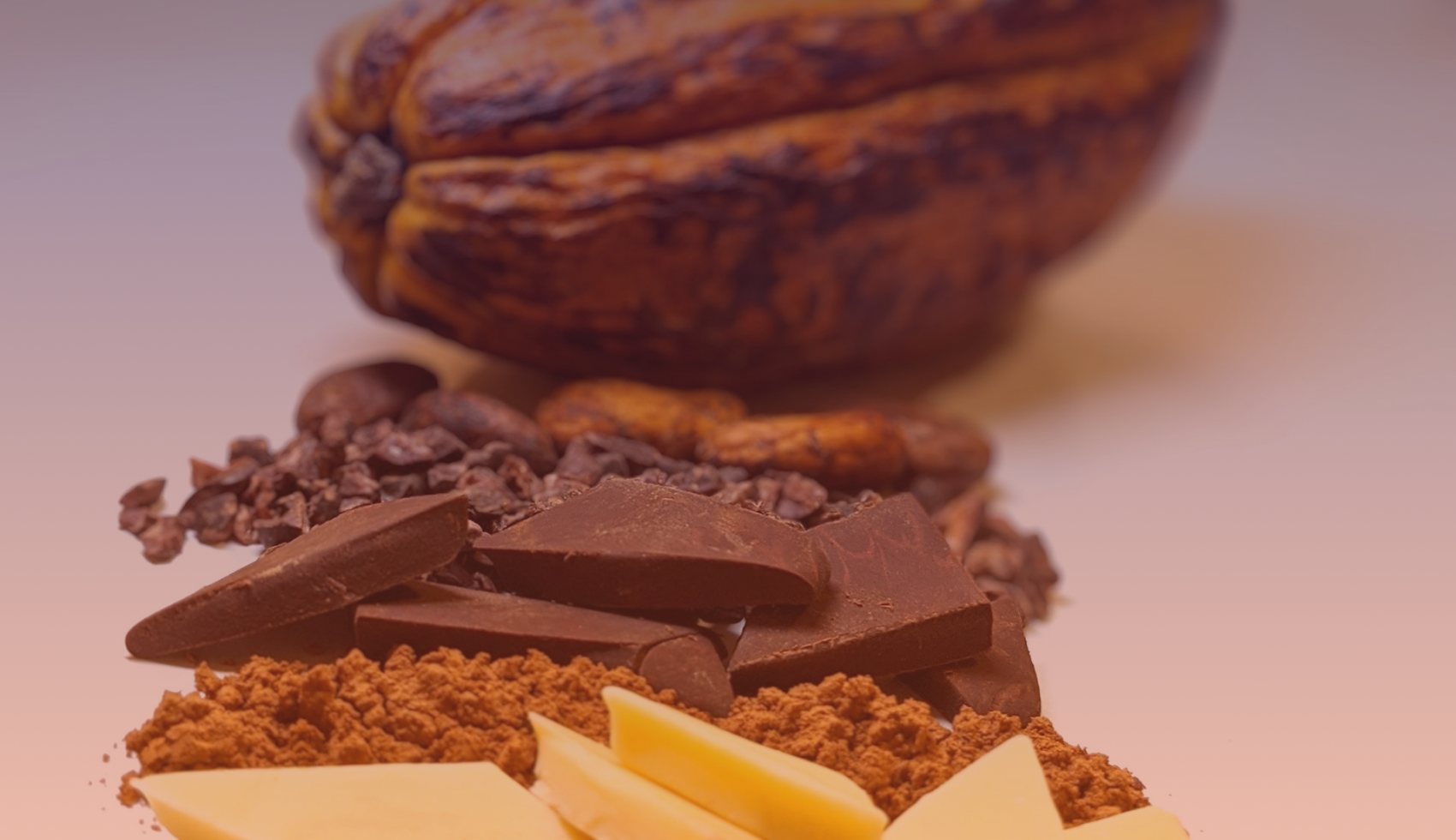 CocoaSupply Australasia